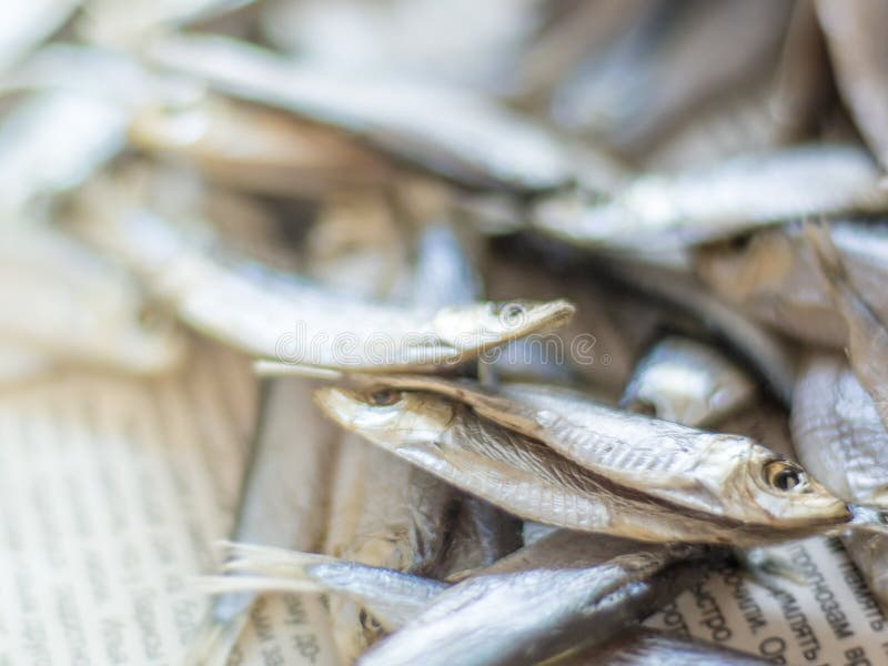 Sea Sprat Small Fish Close Up on a Newspaper, Selective Focus. Stock ...