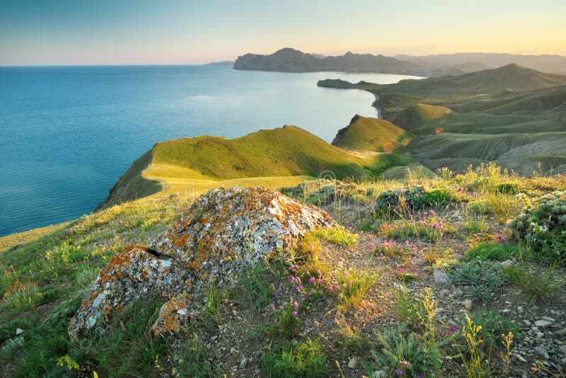 Sea spring bay. stock photo. Image of flower, beach - 130944378