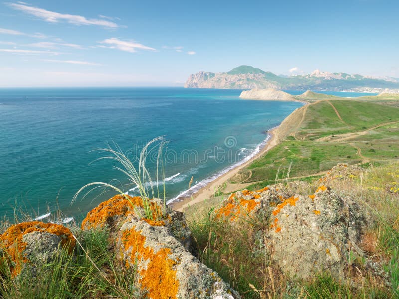 Sea spring bay. stock photo. Image of beautiful, flower - 124328302