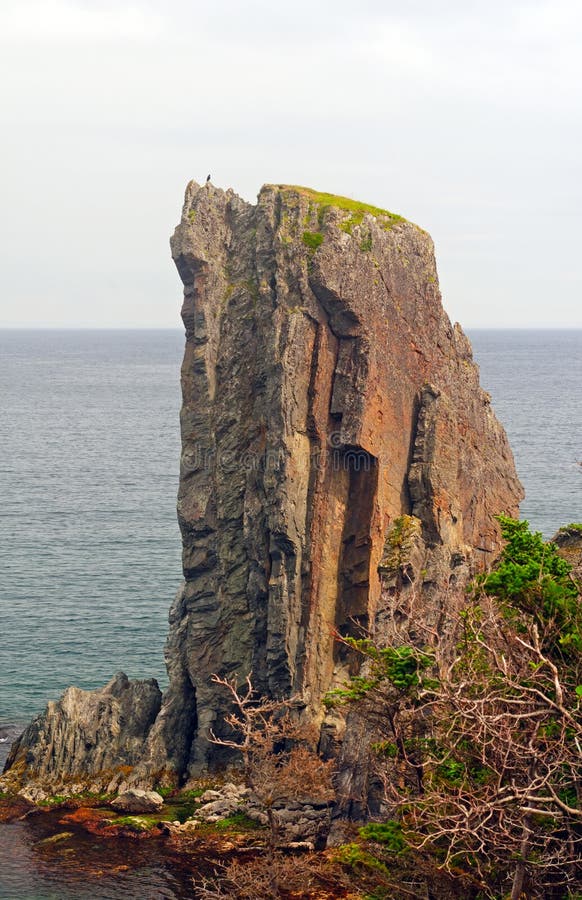 Sea Stack on the Atlantic Coast Stock Photo - Image of wilderness ...