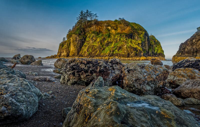 Sea Stack Washington Coast Stock Photos - Download 341 Royalty Free Photos