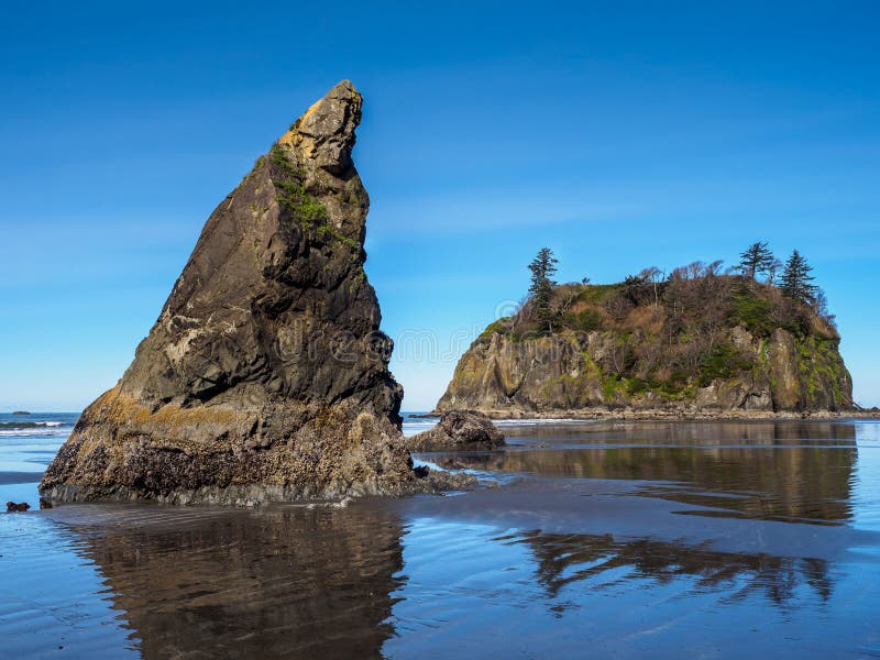 Sea Stack Washington Coast Stock Photos - Download 341 Royalty Free Photos