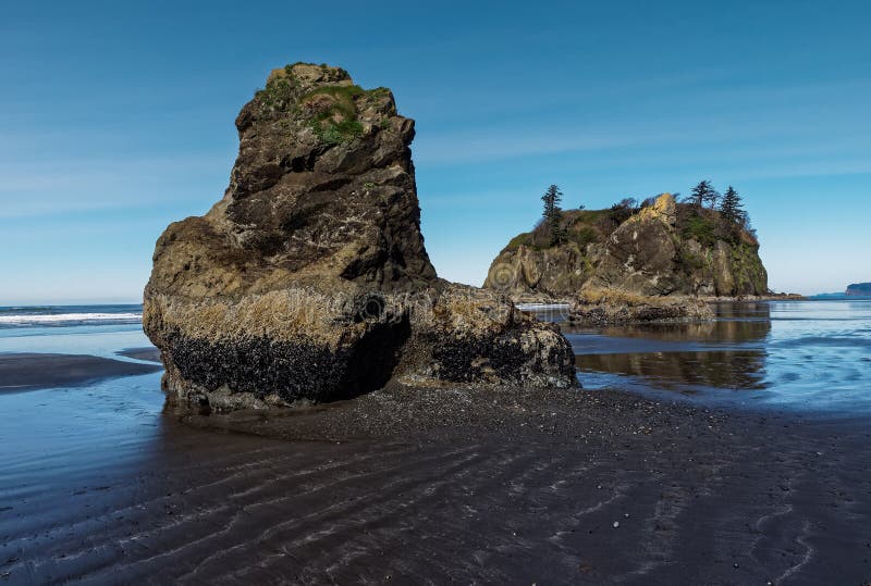 Sea Stack Low Tide stock image. Image of forest, cloudy - 91524237