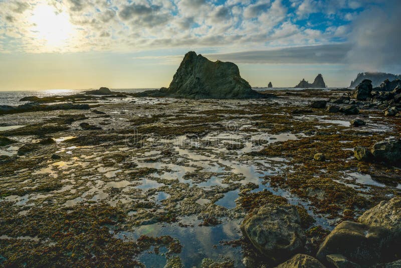 Sea Stacks and Sea during Sunset Stock Photo - Image of adventure, rays ...