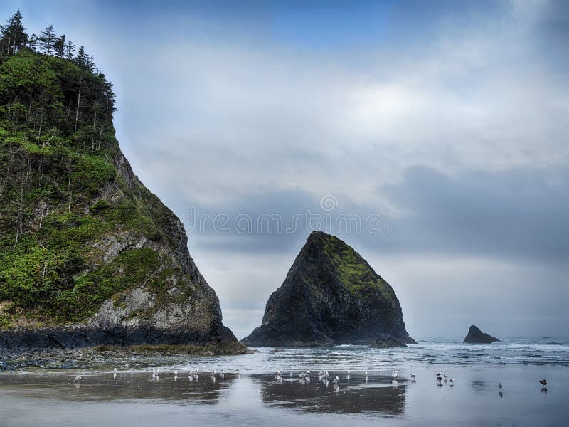 Sea Stacks on the Beach at Arch Cape Stock Photo - Image of clouds ...