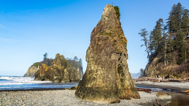 Sea stacks on Ruby Beach stock image. Image of rocks - 56553227