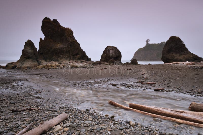 Sea stacks at Ruby beach stock photo. Image of ecosystem - 85513250