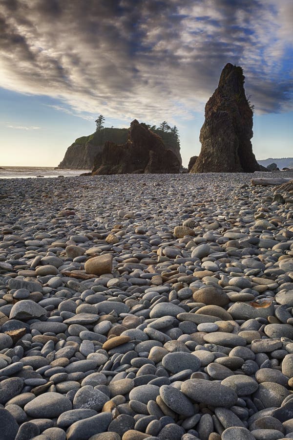 Sea Stack at Ruby Beach in Washington State Stock Photo - Image of ...