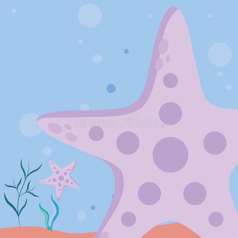 Sea star beach stock vector. Illustration of summer, graphic - 80297127