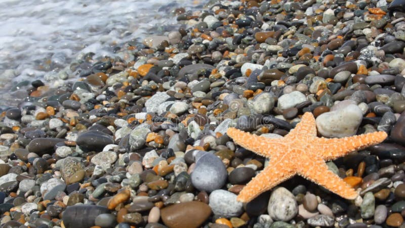 Beach Stock Footage & Videos - 809,253 Stock Videos