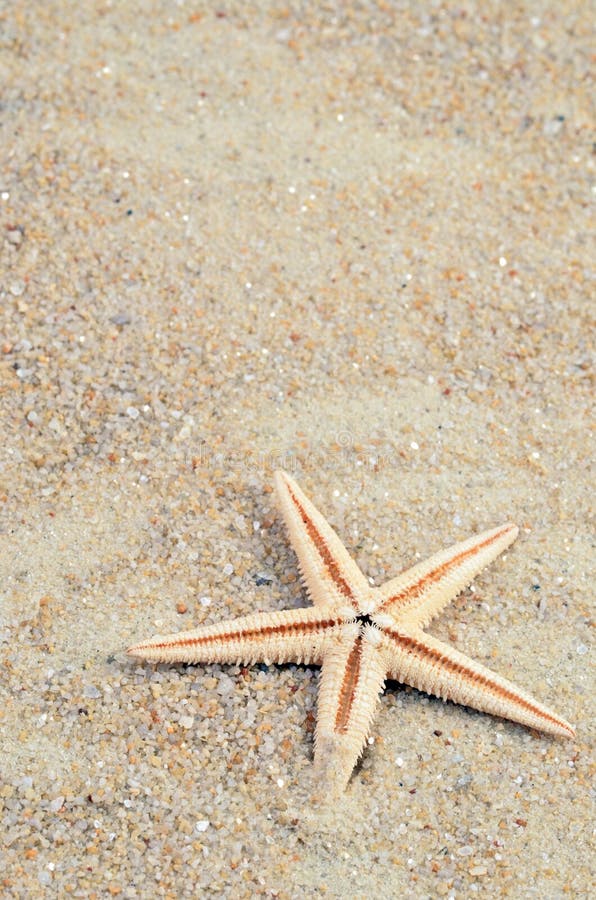 126 Makro Beach Stock Photos - Free & Royalty-Free Stock Photos from ...