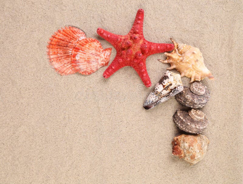 Sea Star and Shells on the Sand Stock Photo - Image of idyllic ...