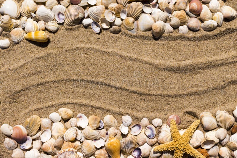 Sea Star and Shells on the Sand of the Sea Stock Photo - Image of stone ...