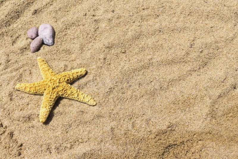 Sea Star and Shells on the Sand of the Sea Stock Photo - Image of game ...