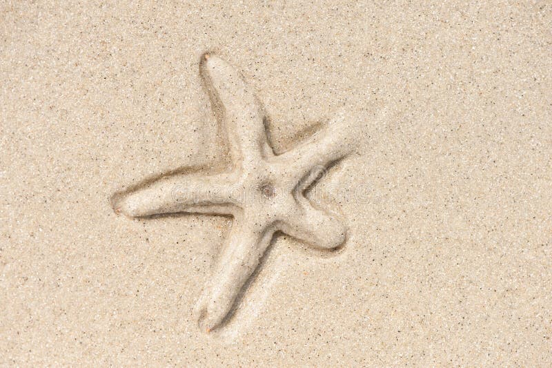 Sea star under sand stock image. Image of summer, sand - 13326539