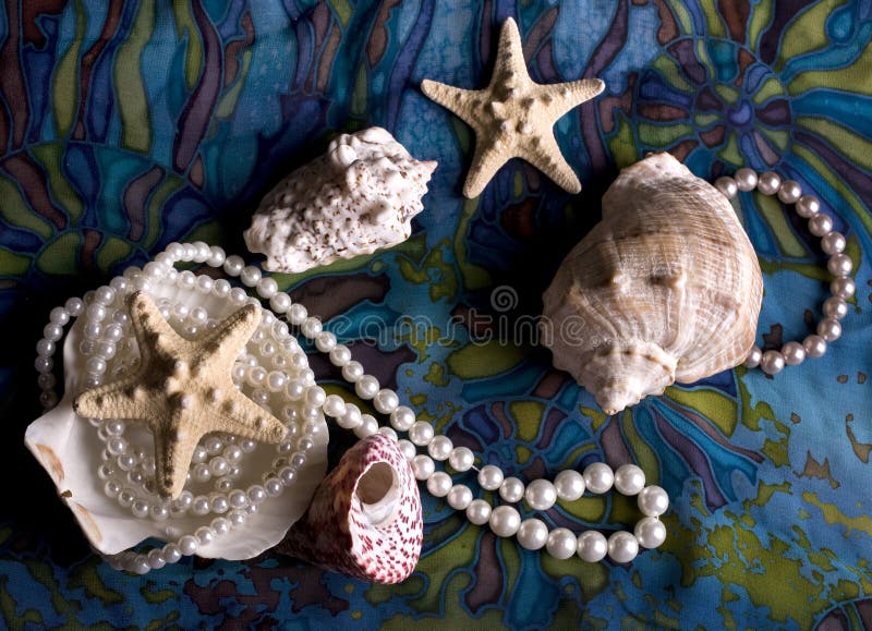 Sea still-life stock photo. Image of pearls, fine, spiral - 10431000