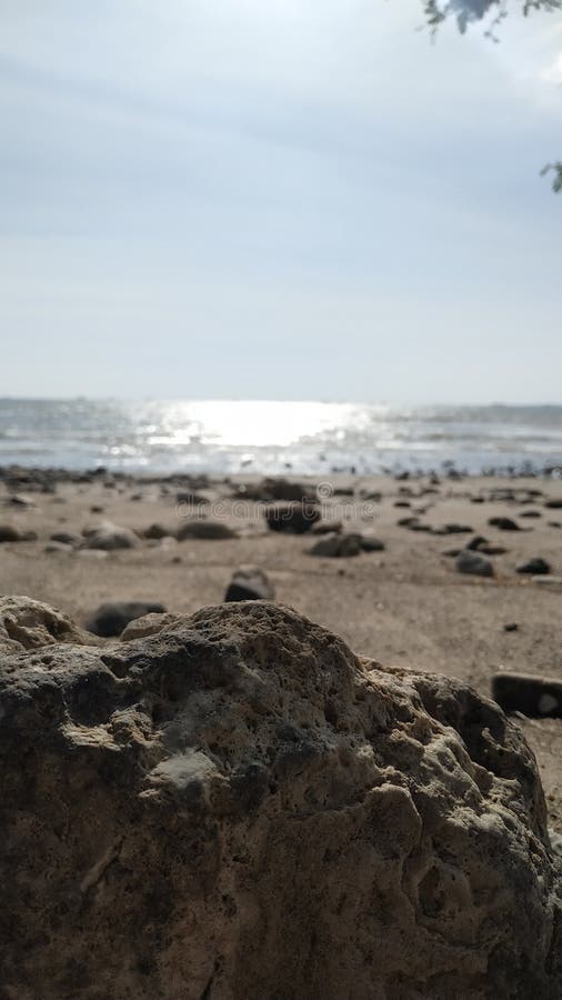 Sea stone on beach stock photo. Image of rock, cape - 222880128