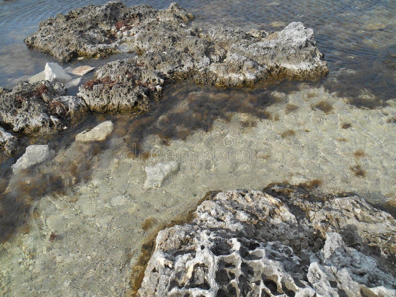 Sea and Stone Shore Texture Stock Image - Image of shore, travel: 120420609