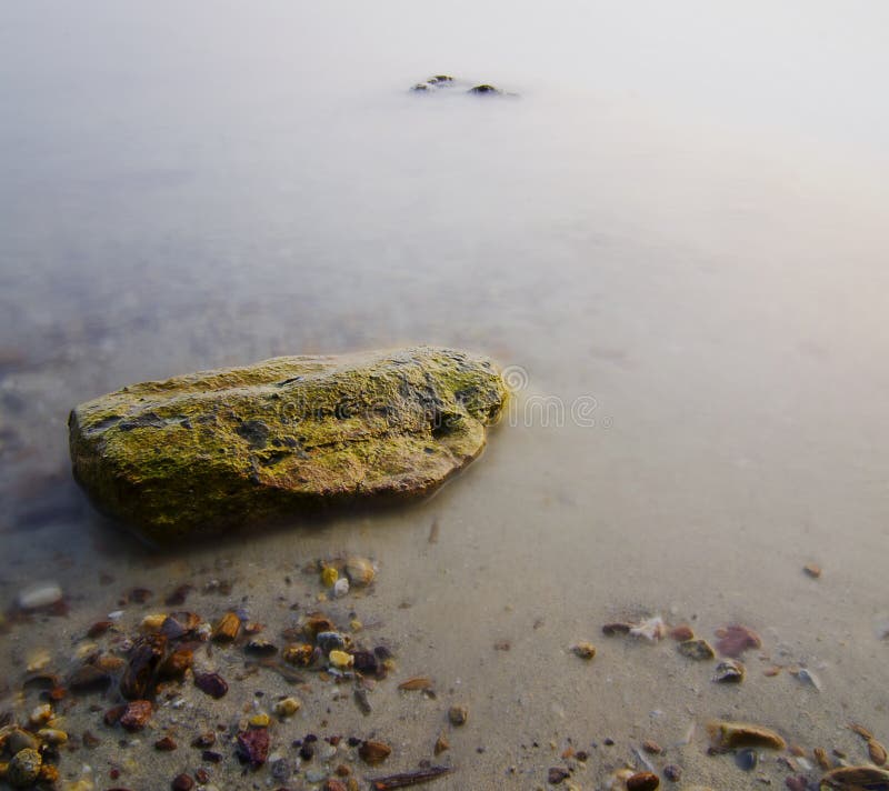 Sea Stone stock image. Image of texture, white, structure - 49162363