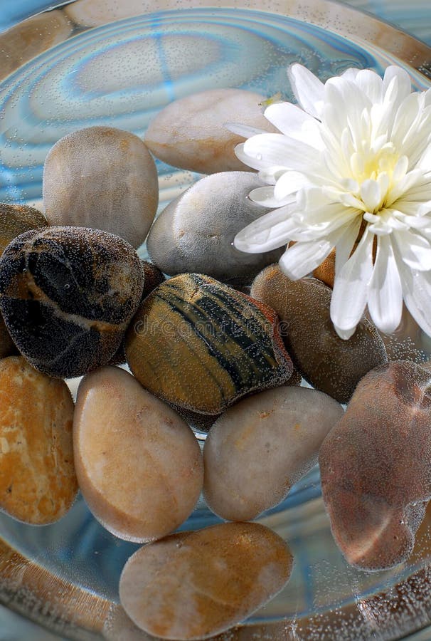Sea stones stock image. Image of river, flower, pebbly - 13491673