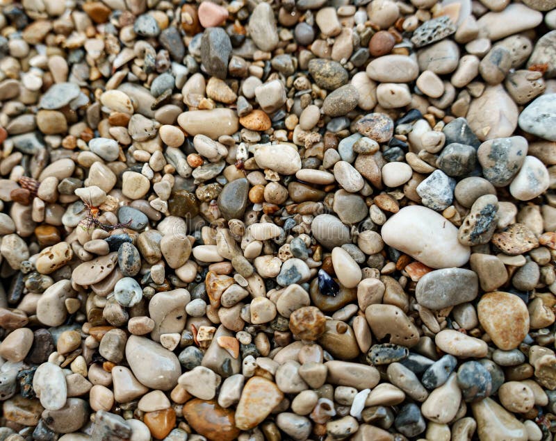 Sea stones background. stock image. Image of pattern - 265528005
