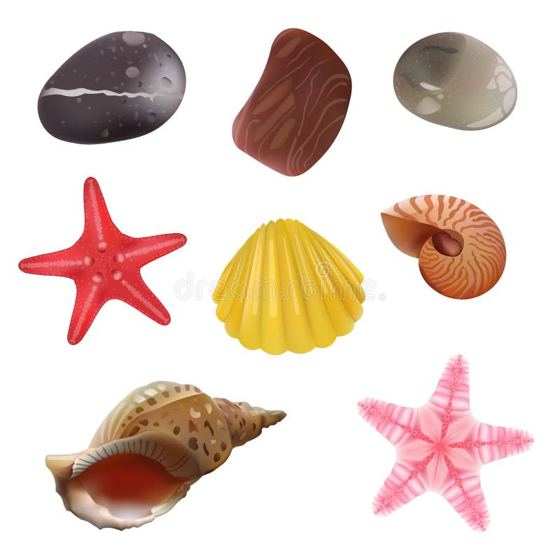Sea Stones, Sea Shells, Starfish. Stock Vector - Illustration of design ...