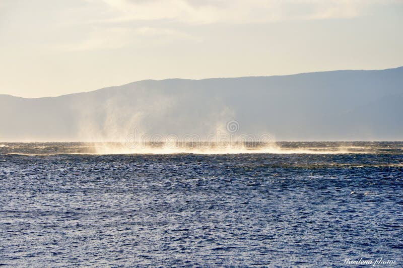 Sea. Strong Wind. Visible White Crests of the Waves from Strong North ...