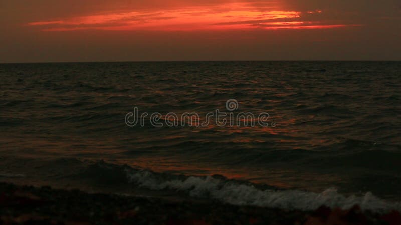 Red sea stock video. Video of view, tropical, beauty - 204999761