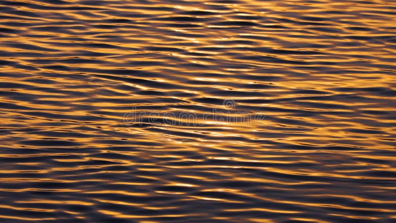 Ripples and Waves on Water Surface. Blue Waves Sea Water. Real Time ...