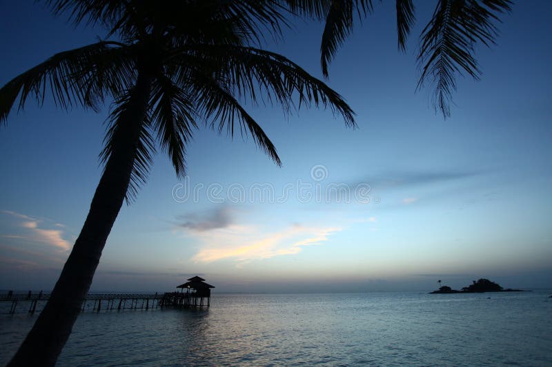 Sea Sunset at Shore Tree Hot Weather Stock Image - Image of ocean ...