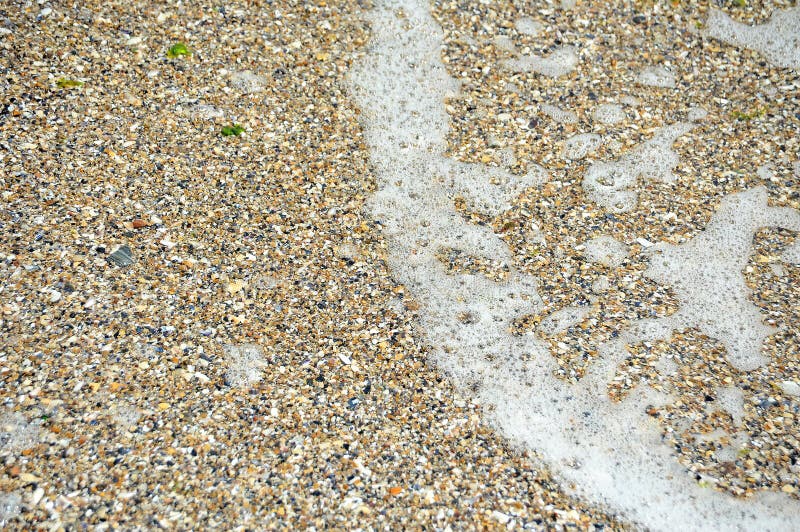 Sea surf and shell stock image. Image of beach, decorating - 86545449