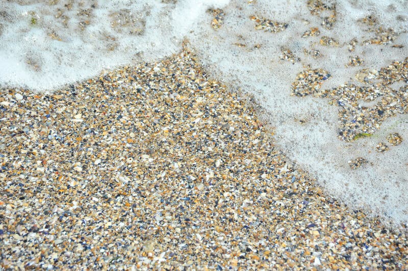 Sea surf and shell stock photo. Image of helix, shore - 86545454