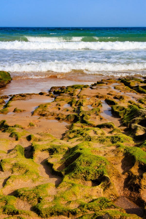 Sea Surf and Spray on the Beach Stock Photo - Image of seashore ...