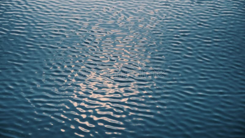 Sea surface rippling. stock video. Video of tropical - 250287293