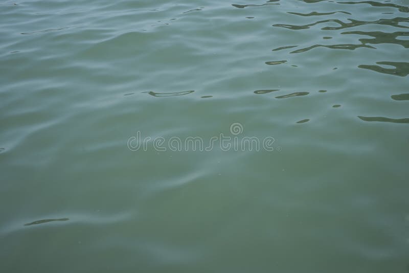 Sea Surface in the Lanha Bay. Stock Photo - Image of green, china ...