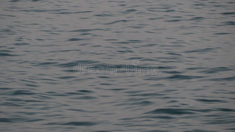 Sea Surface Undulation, Surface Movement of the Sea Stock Footage ...