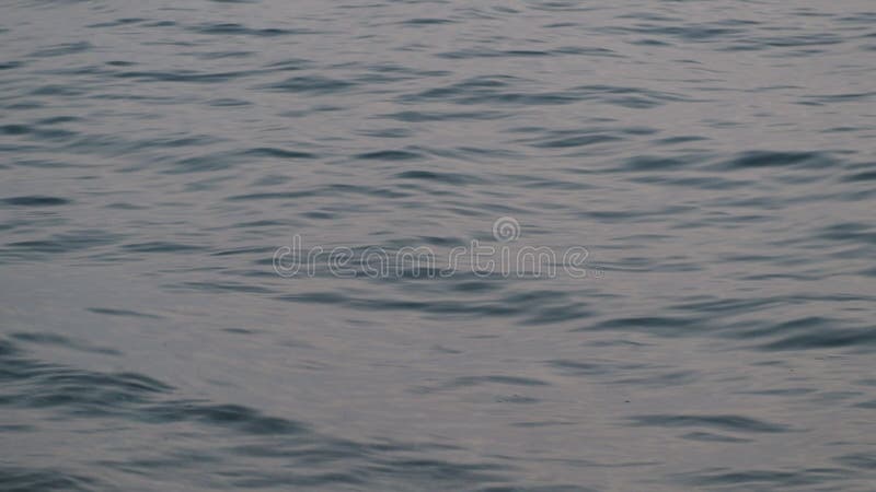 Sea Surface Undulation, Surface Movement of the Sea Stock Footage ...