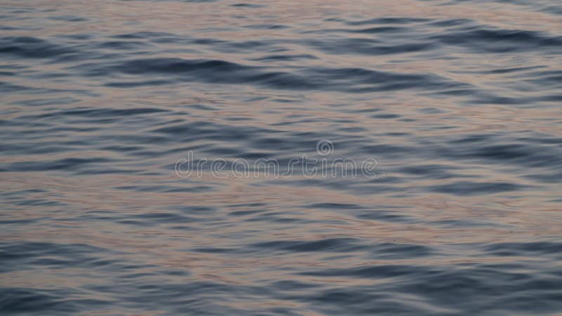 Sea Surface Undulation, Surface Movement of the Sea Stock Footage ...