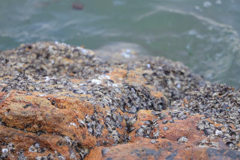 A Sea Surface, Rocks on the Beach Stock Image - Image of crash, texture ...