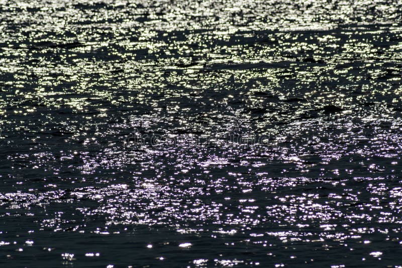 Sea Surface Small Waves Nature Background Stock Photo - Image of ...