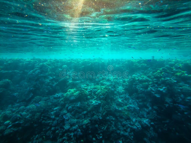 Sea Surface from Water. Red Sea Waves Close-up Stock Image - Image of ...
