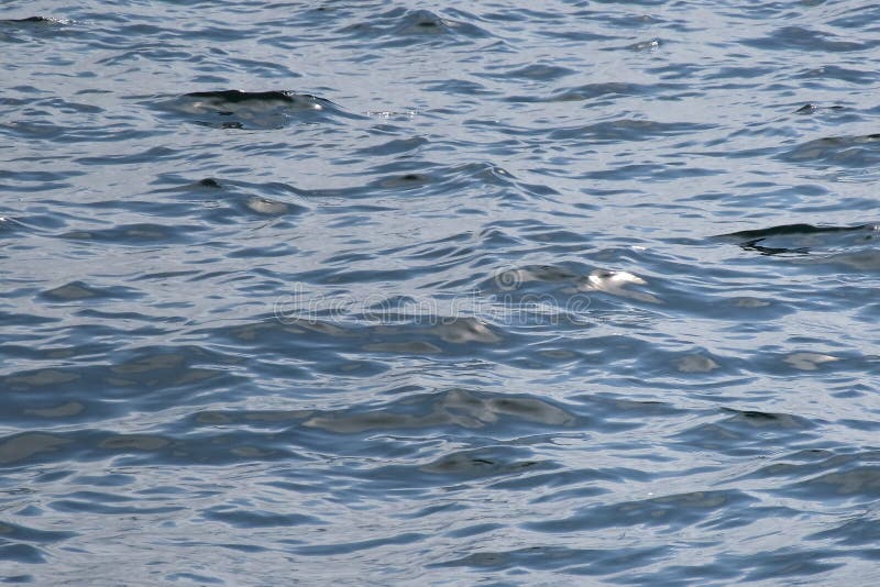Sea Surface and Waves for Background Stock Image - Image of nature ...
