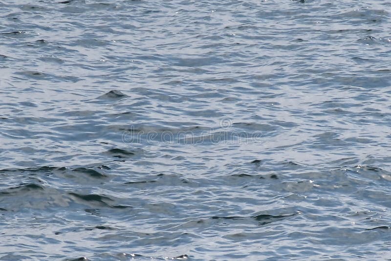Sea Surface and Waves for Background Stock Photo - Image of aqua, ocean ...