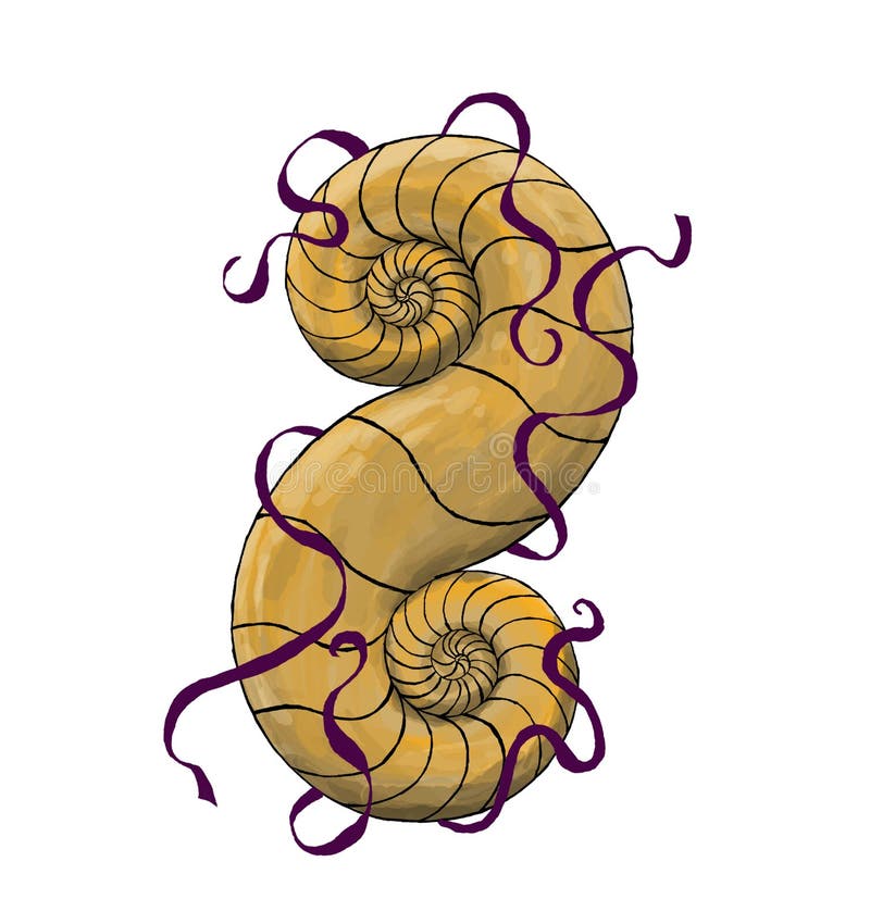 Sea symbol two seashells stock illustration. Illustration of immersion ...