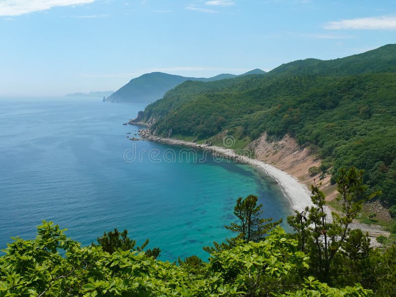 Sea and Taiga stock photo. Image of inlet, ocean, scene - 3084206