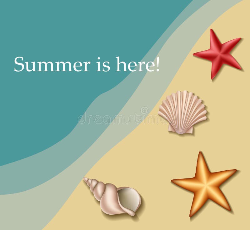 Sea Text Frame with Shells and Sea Stars Stock Vector - Illustration of ...