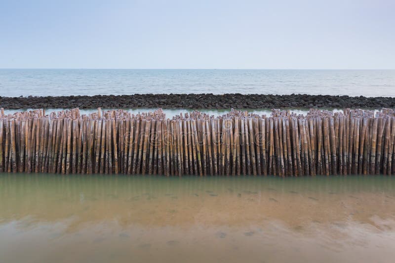 Sea Tide Bamboo Stick Barrier Wall for Protection Stock Photo - Image ...