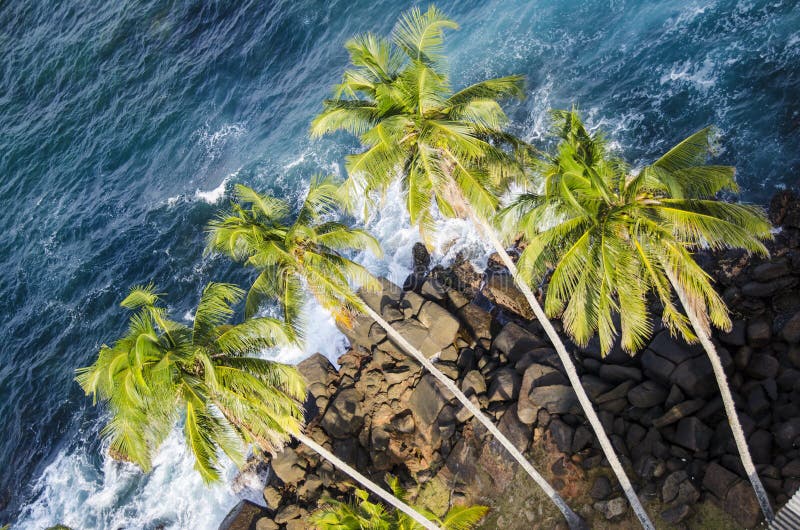 Sea from the top stock photo. Image of shore, height - 39496894