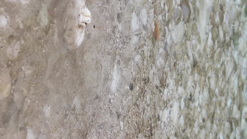 Sea. Transparent Clear Water through Which Pebbles are Visible Stock ...