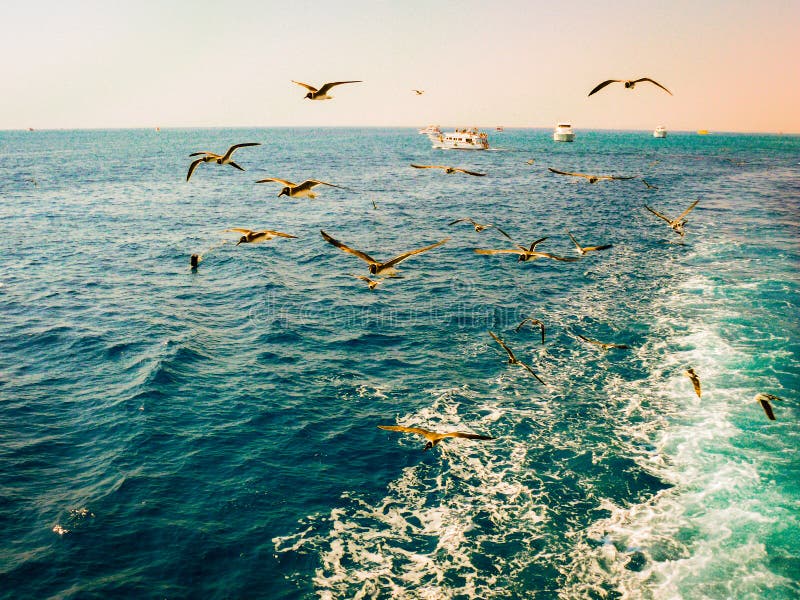 Sea waves stock photo. Image of panorama, water, beauty - 13284796